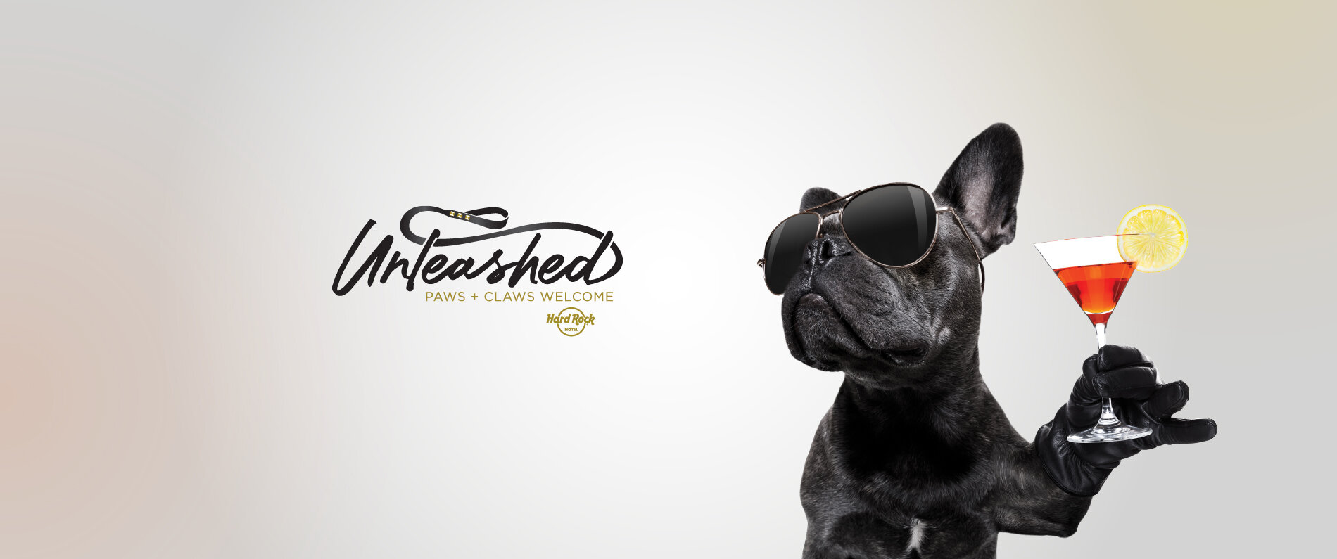Unleashed | Pet Friendly Hotels in Guadalajara | Hard Rock Hotel ...