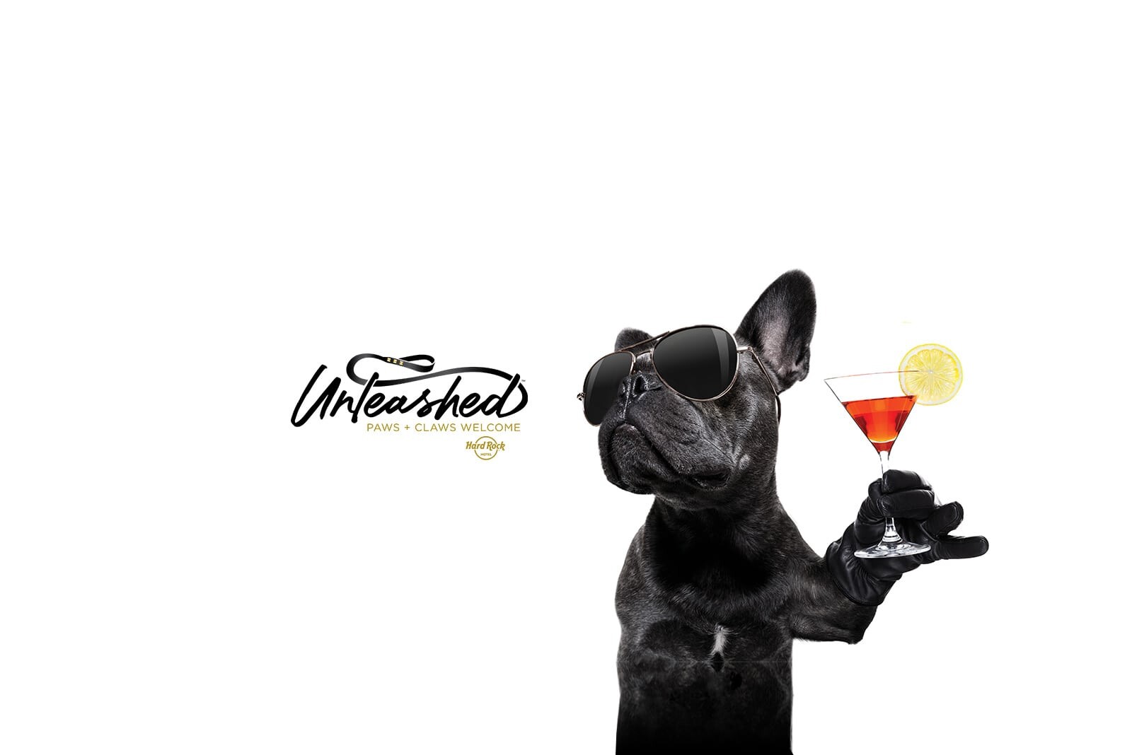 Pet Friendly - Unleashed™