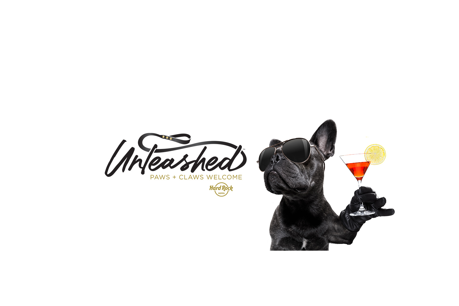 Unleashed | Programa para Mascotas